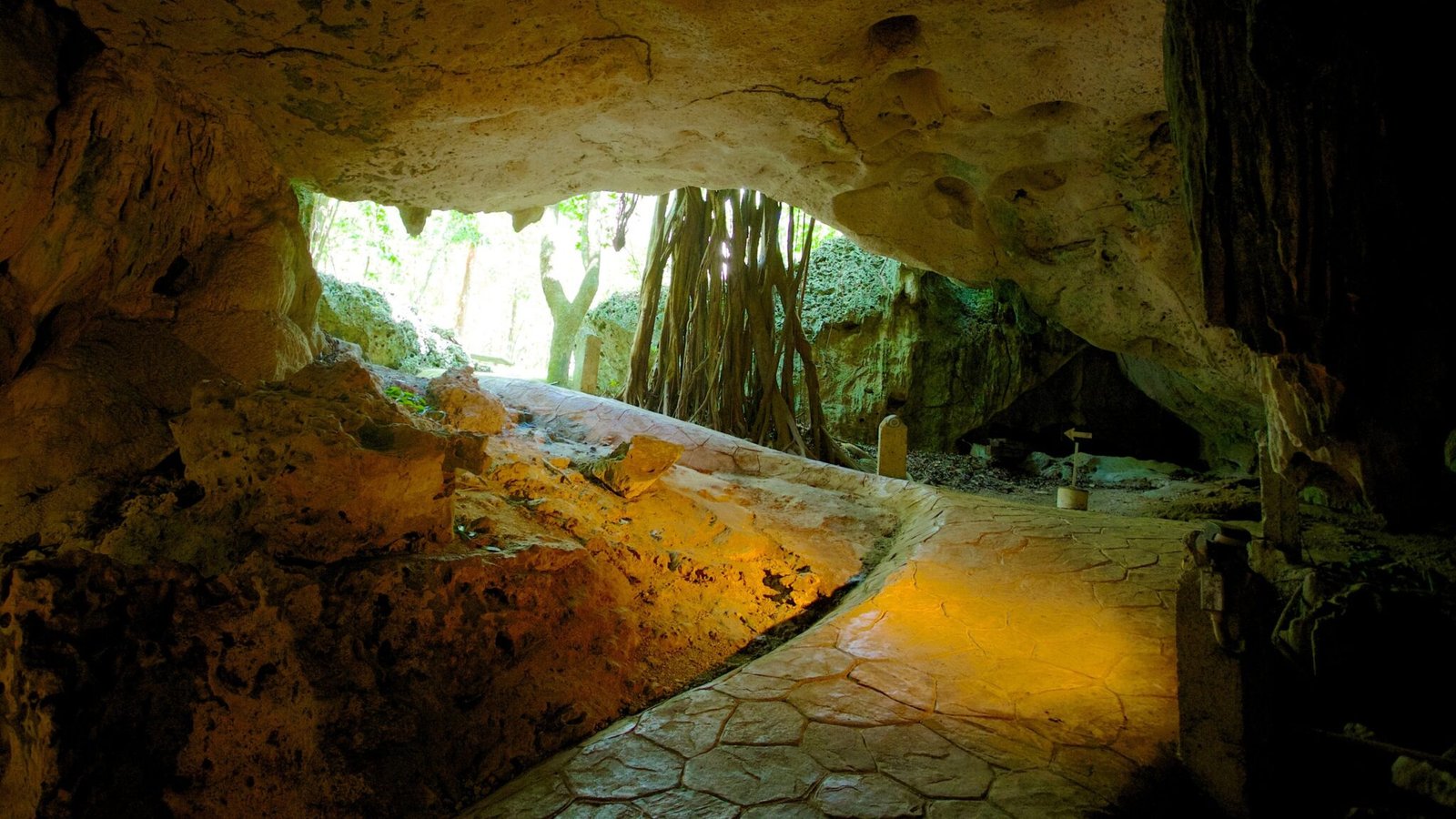 Green Grotto Caves, Jamaica [2025]: Everything You Need to Know