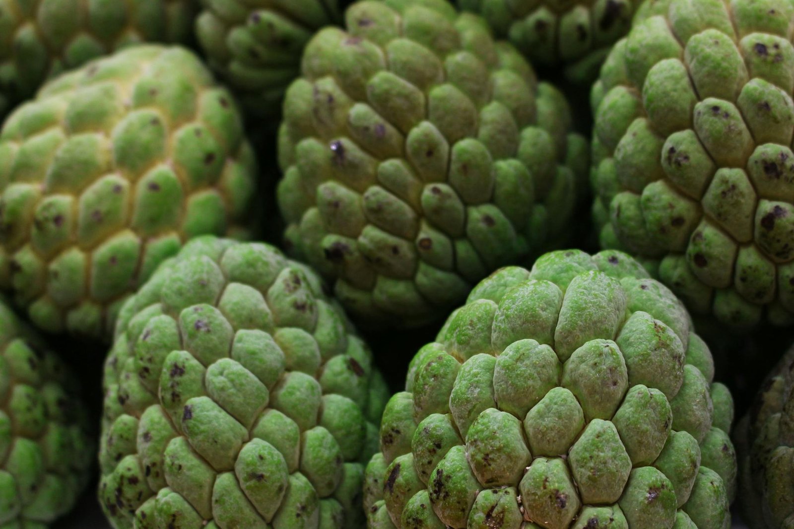 33 Jamaican Fruits You Must Try [2026]