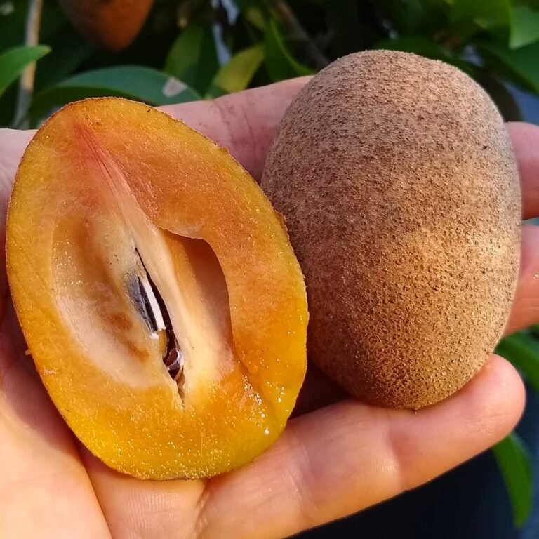33 Jamaican Fruits You Must Try [2026]
